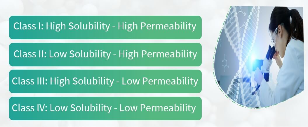 Caco‑2 Permeability Testing | Intestinal Model - Formulation / BOC Sciences